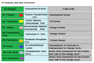 90 Essential Nutrients- Part 2: B Vitamins (1-6) | Extreme Health Academy